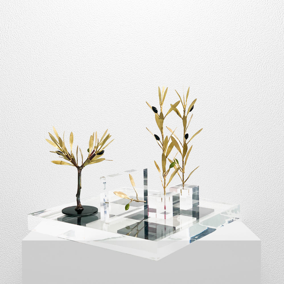 Corporate – Mamush Gallery